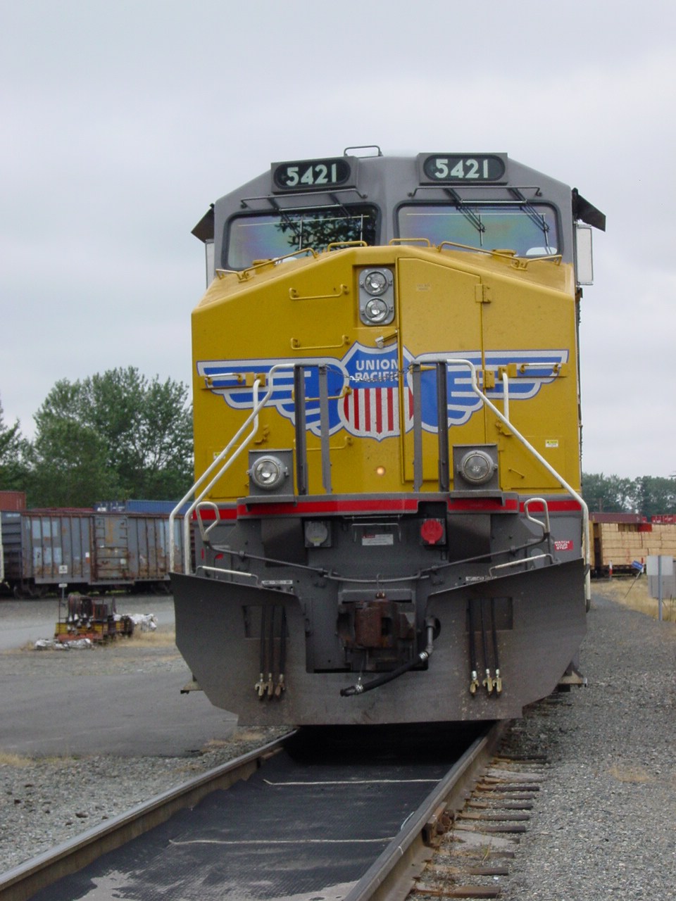 "Red Stripe" GEVO UP 5421